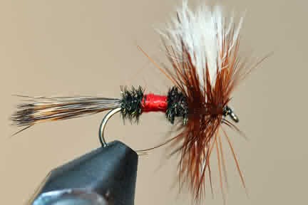 Guest Blog – Choosing trout flies simplified: 2 super-easy methods ...